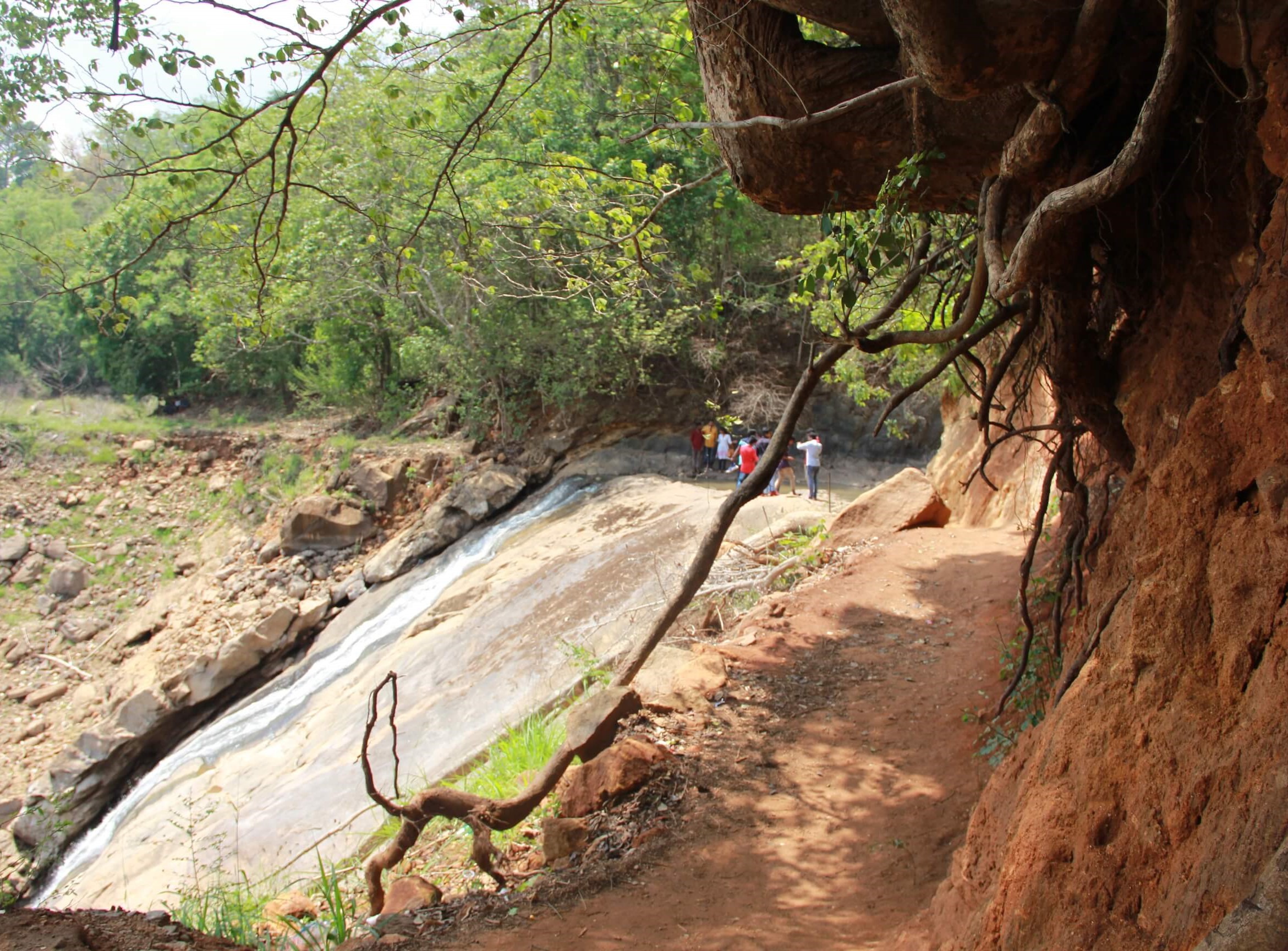 The path less trodden!! - SmilePlease.in